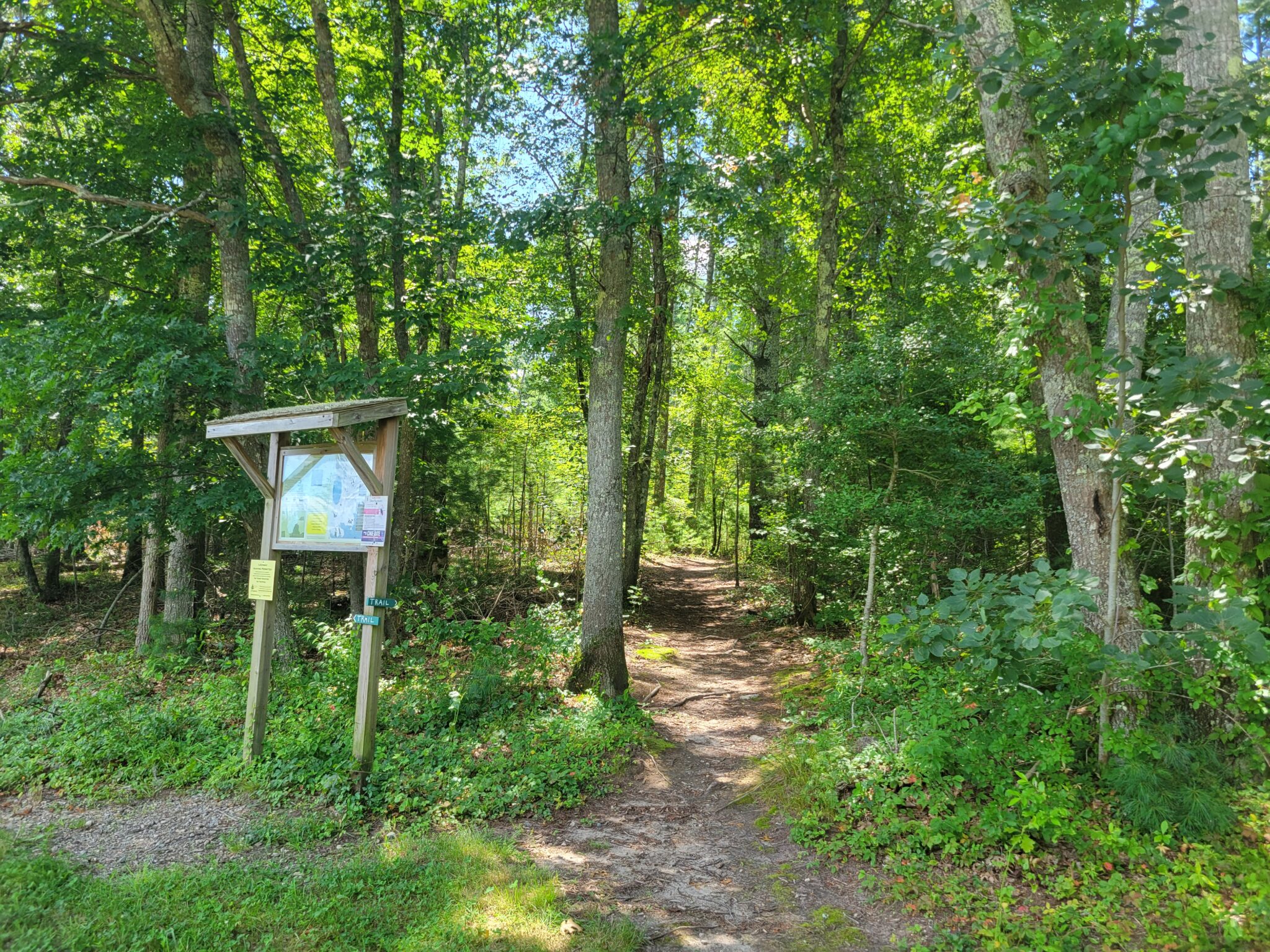 Rochester Master Plan - SRPEDD