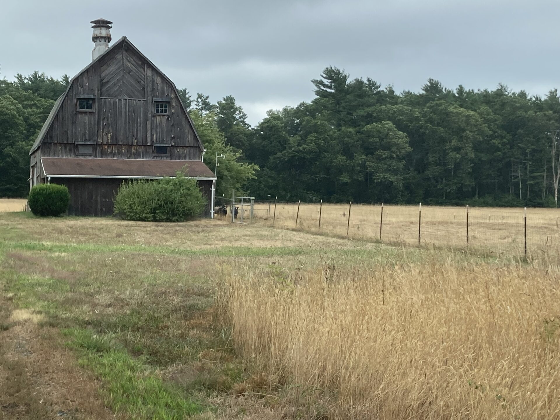 Rochester Master Plan - SRPEDD